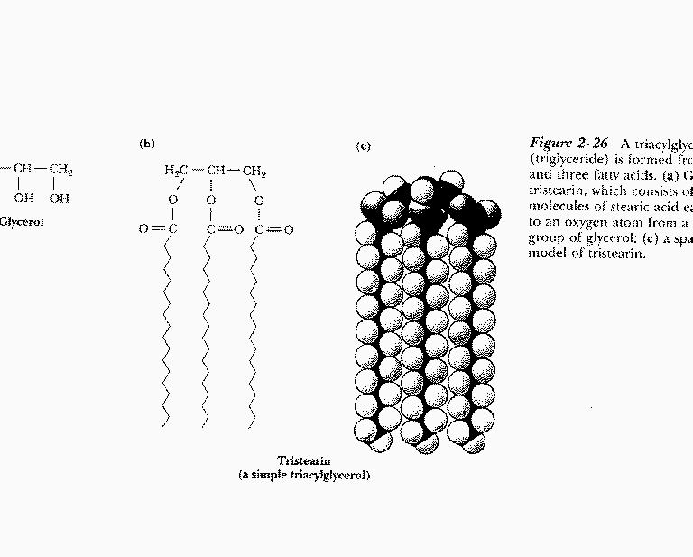 Untitled [cr.middlebury.edu]